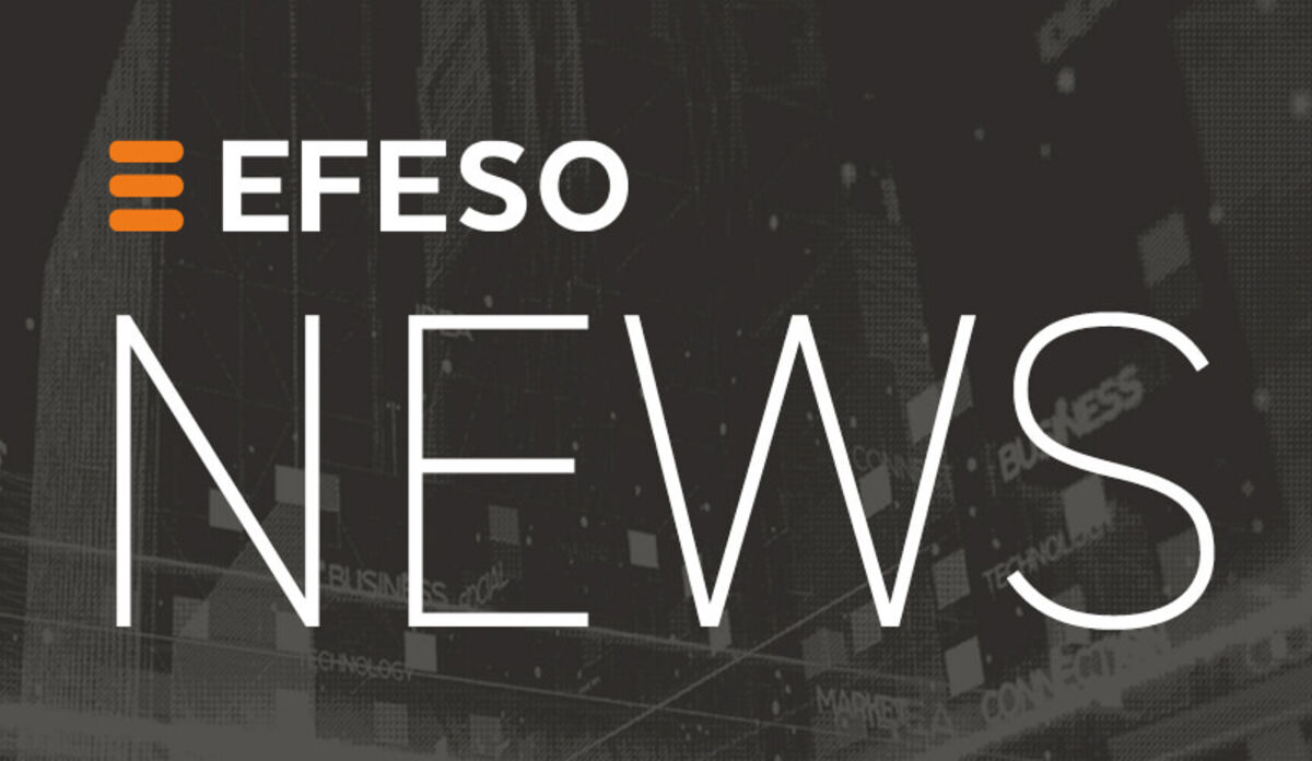 Topics & News from EFESO - EFESO Management Consultants