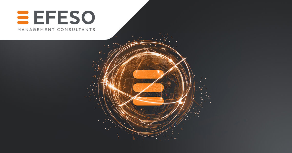 EFESO Management Consultants - EFESO Management Consultants