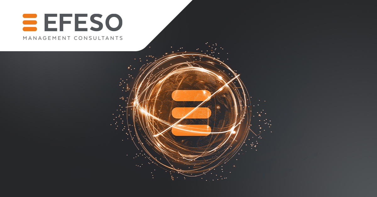 Operational Excellence & WCOM - EFESO Management Consultants